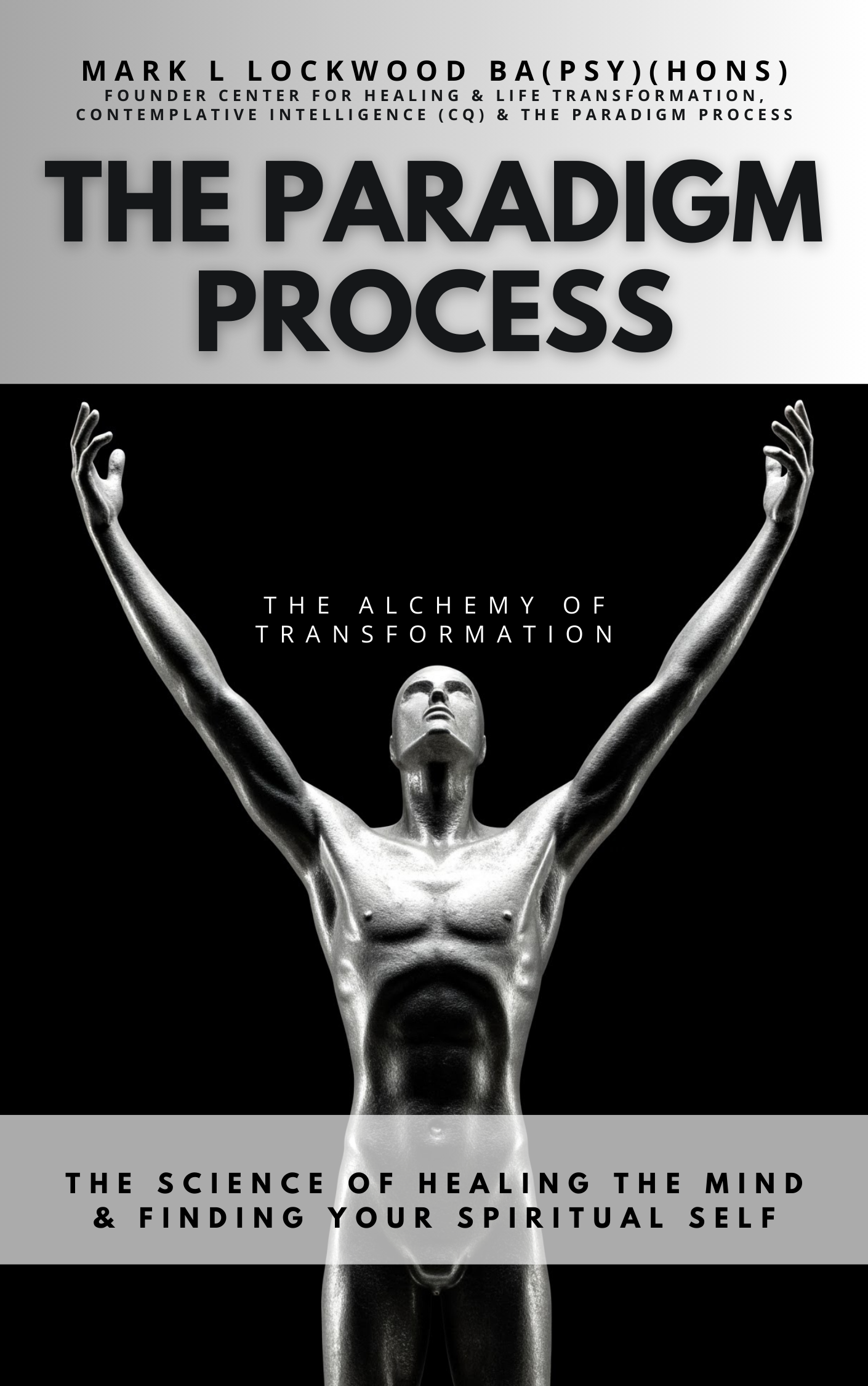 The Paradigm Process Book - Your guide to the Alchemy of Transformation ...